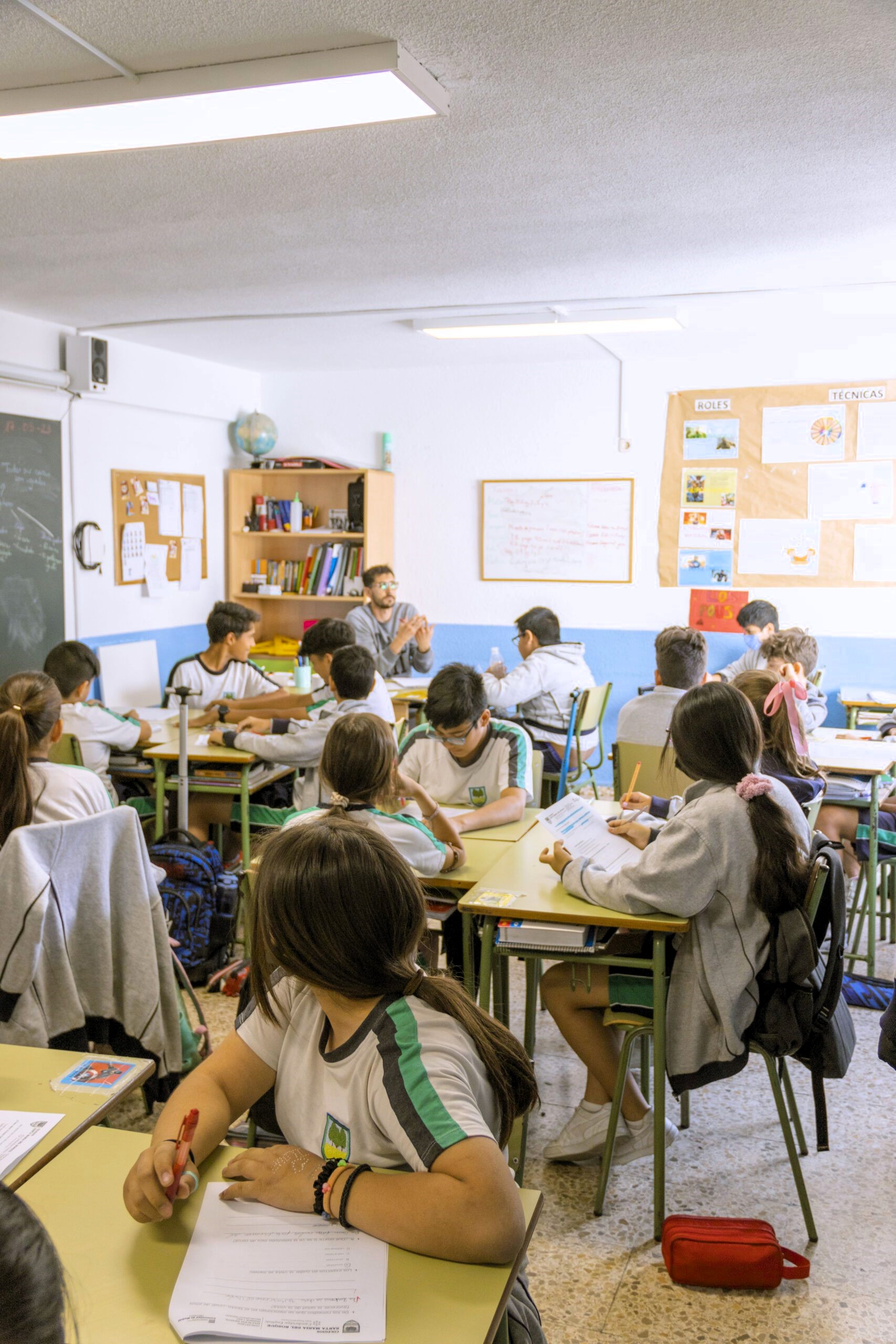 Educación Primaria - Colegio Santa María del Bosque